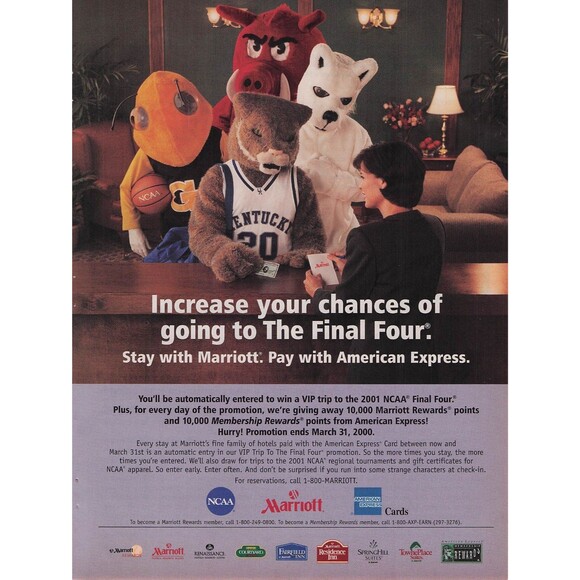 Accents | 200 Marriott American Express Furry Ncaa Wildcats Sports ...
